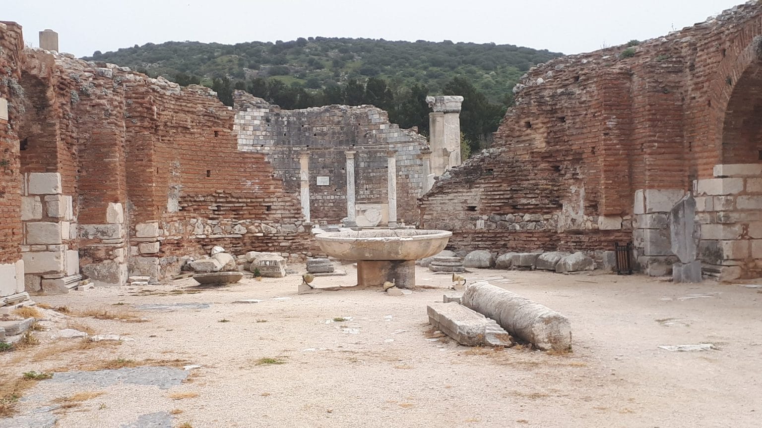 Discover the 2025 Ephesus Ruins: A Journey Through History